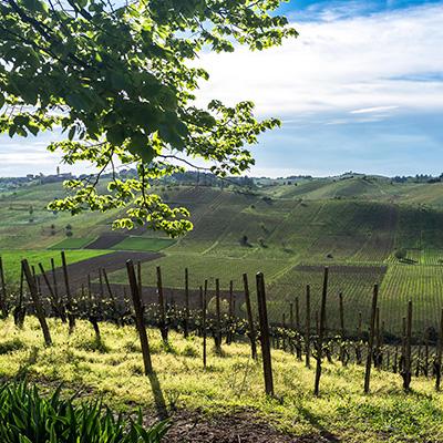 La campagna italiana: alcune destinazioni imperdibili per un ponte di ...